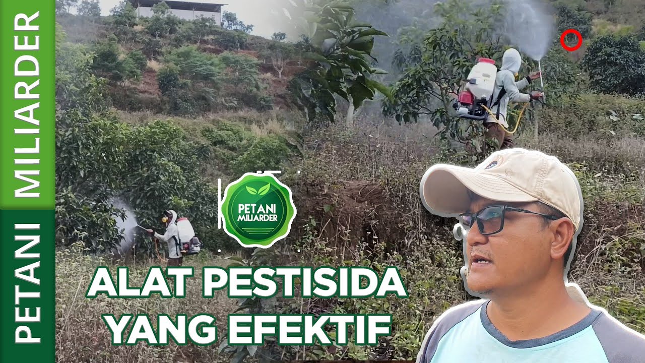 TERNYATA INI ALAT SEMPROT PESTISIDA YANG PALING AMPUH DAN EFEKTIF WAJIB ...