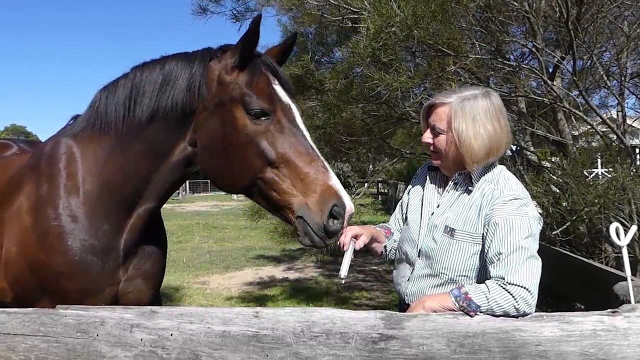 Dosing with Herbal Extracts - Victoria Ferguson Equine Herbalist - YouTube