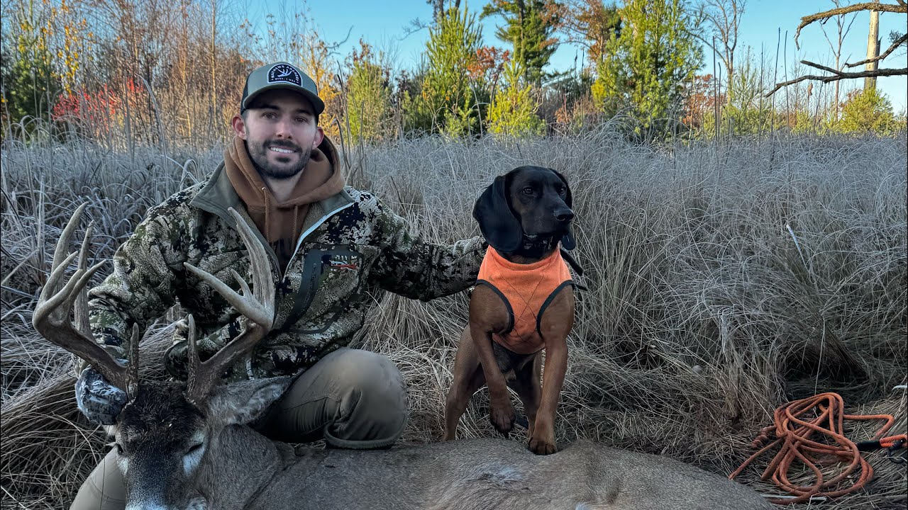 Wisconsin Public Land Stud Buck- All filmed with IPhone!!! - YouTube