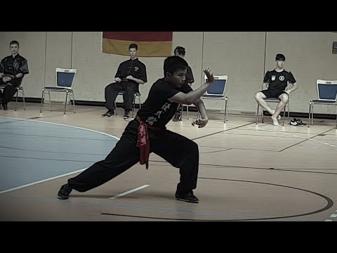 洪家伏虎拳 / Hung gar Fuk Fu Kuen / Hung Family Taming The Tiger Boxing ...