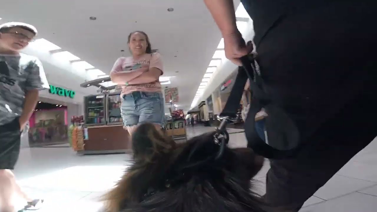 German Shepherd Service Dog goes to the Mall - YouTube