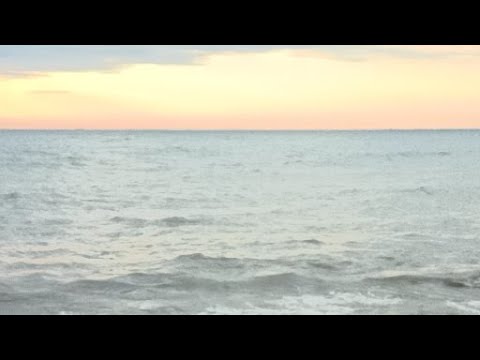 visit lake Erie with Clearwater Chad. Beach and water. - YouTube