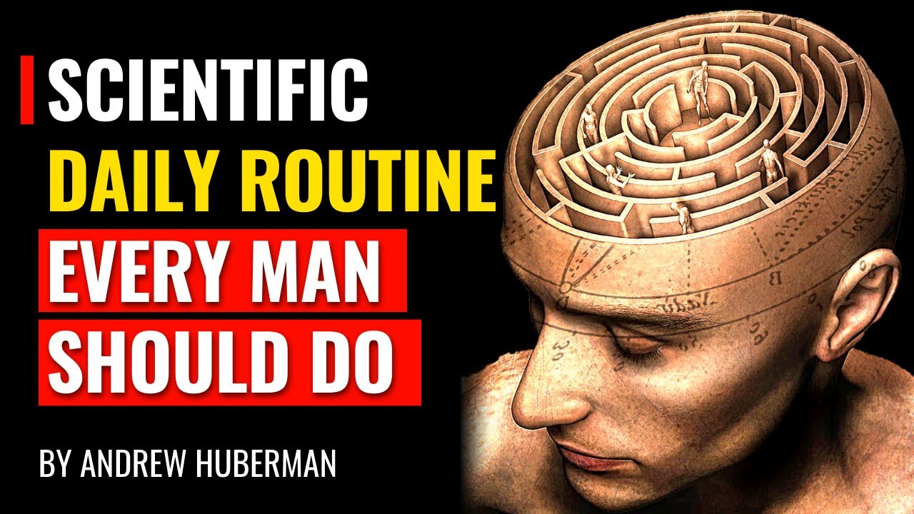 Scientific Daily Routine Every Man Should Do - Andrew huberman - YouTube