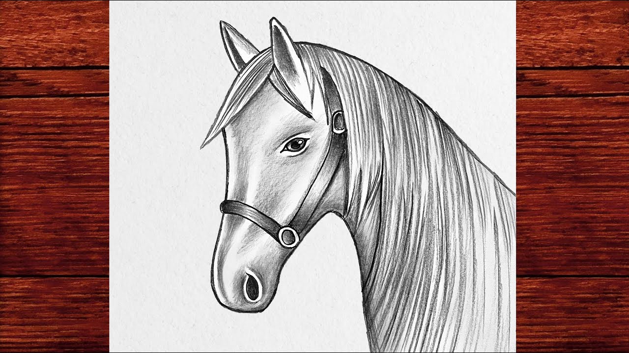 Kolay Adım Adım At Resmi Nasıl Çizilir - Kolay Karakalem At Resmi ...
