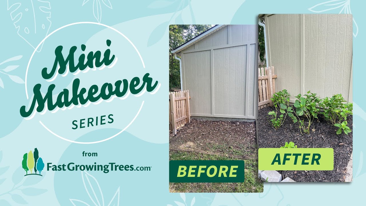 Mini Makeover #2 with @mymidwestdiy | FastGrowingTrees.com - YouTube