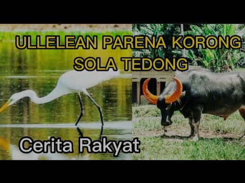Ulelean Parena Toraya (cerita rakyat Toraja) - YouTube