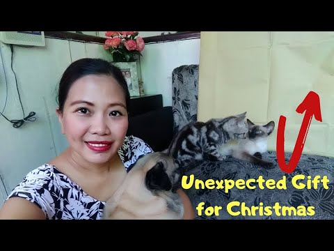 Unexpected Gift for Christmas | Miko Ong - YouTube