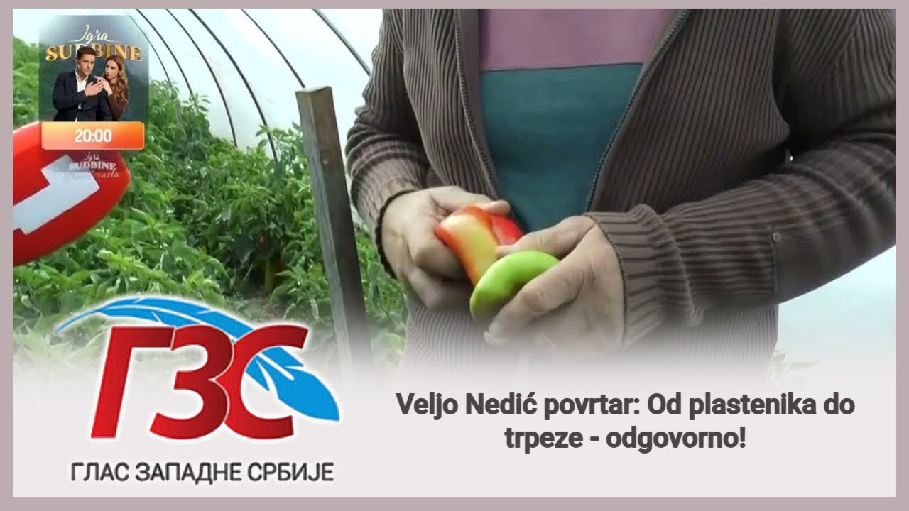 Prva TV - Veljo Nedić povrtar: Od plastenika do trpeze - odgovorno ...