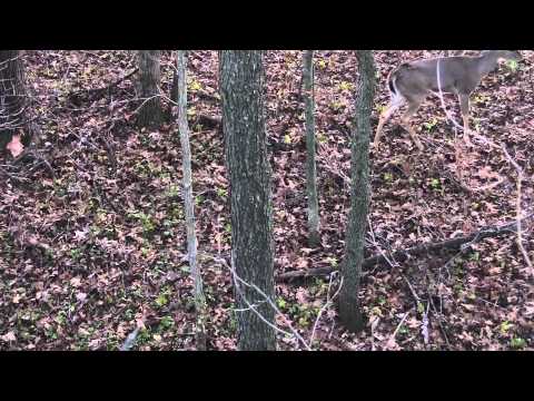 Jim-Doe-2010-YouTube - YouTube