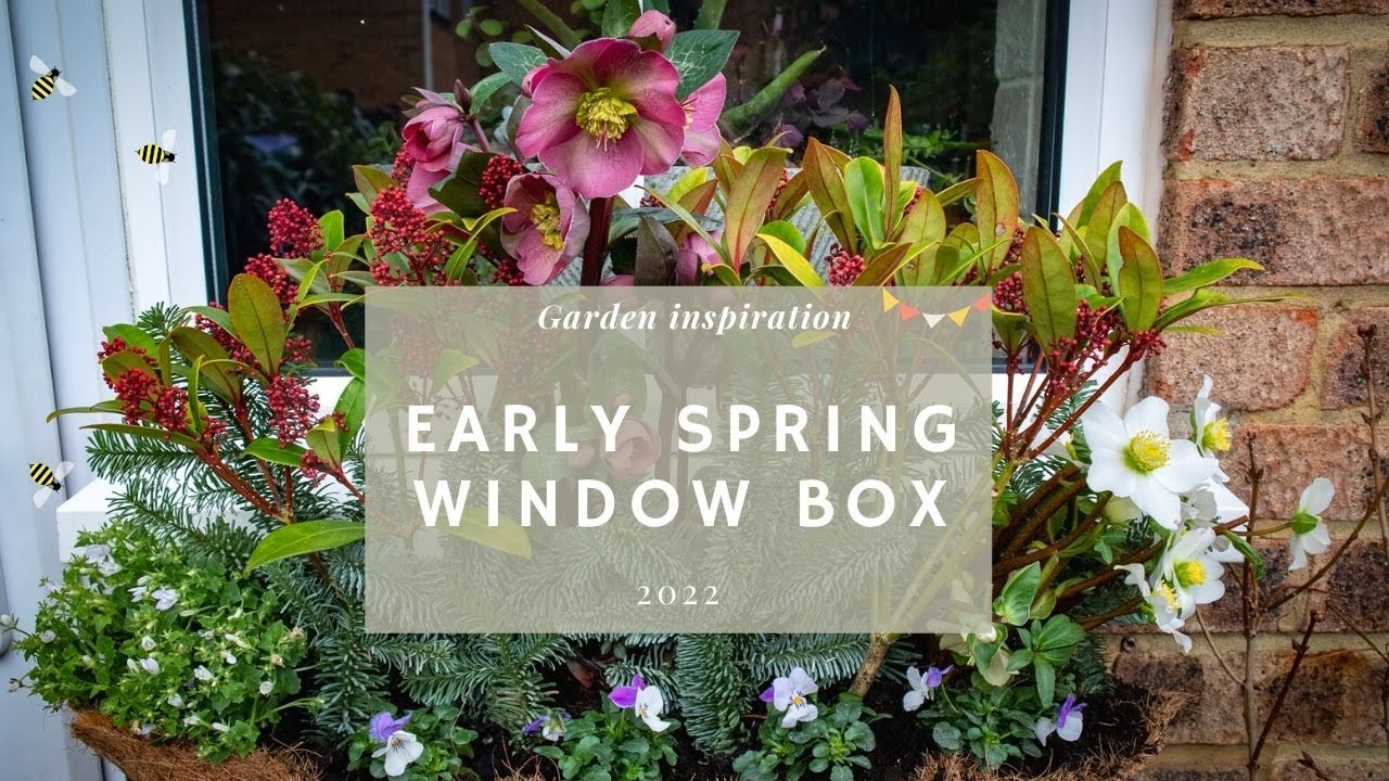 Planting up my window box for Spring! First container of the year 🌿💚 ...