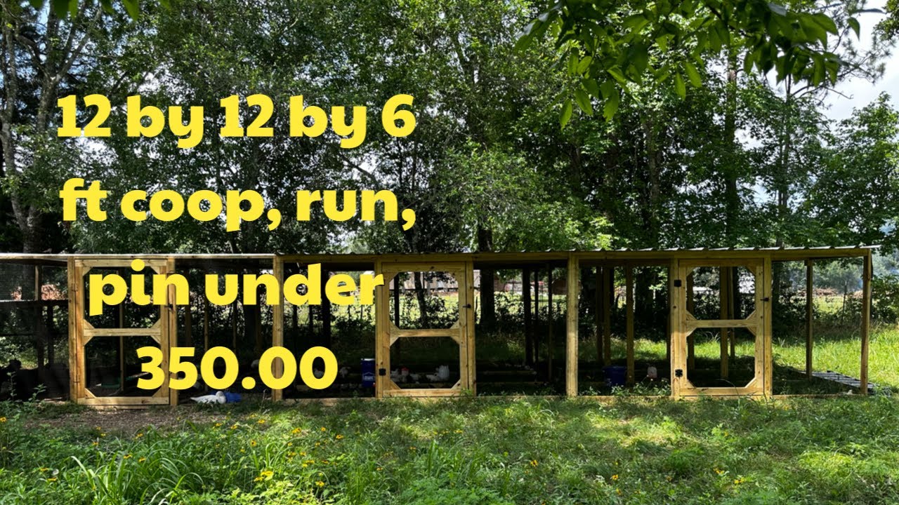 Each Chicken coop,run,pin built under 350.00 - YouTube