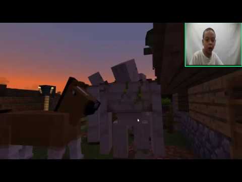 Robloxn and Minecraft i tried to play with karina but karina is not ...