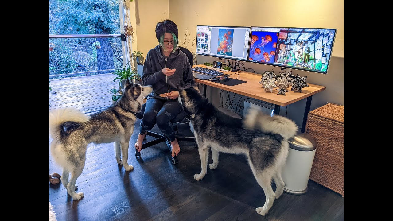 My Little Office Tour (With Huskies!) - YouTube
