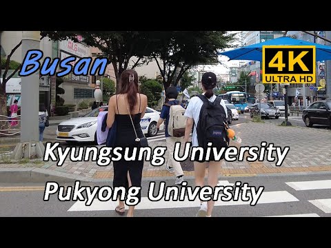 [4K] View the streets in front of Kyungsung University and Pukyong University Campus in Busan ...