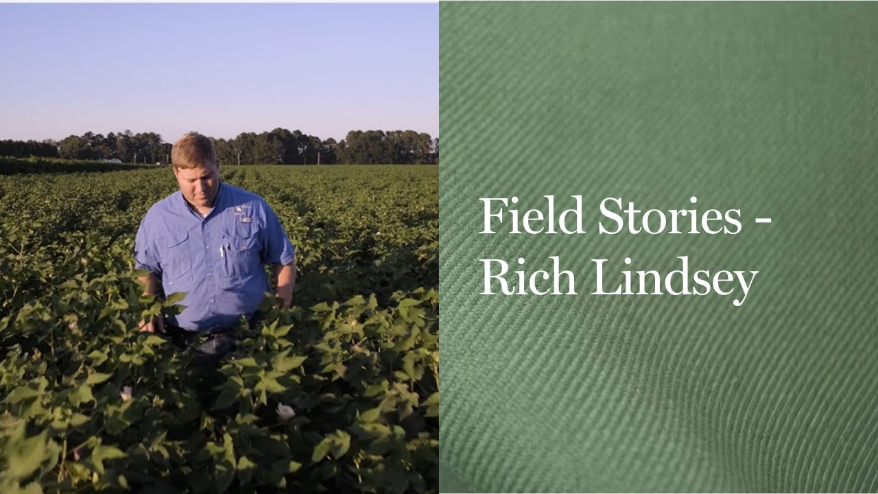 Field Stories - Rich Lindsey - YouTube