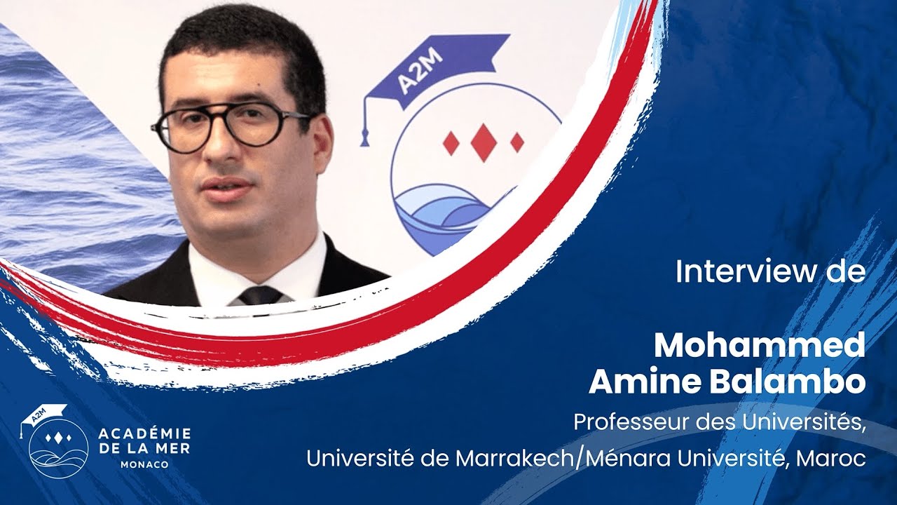 Interview de Mohammed Amine Balambo, Professeur et Directeur exécutif ...