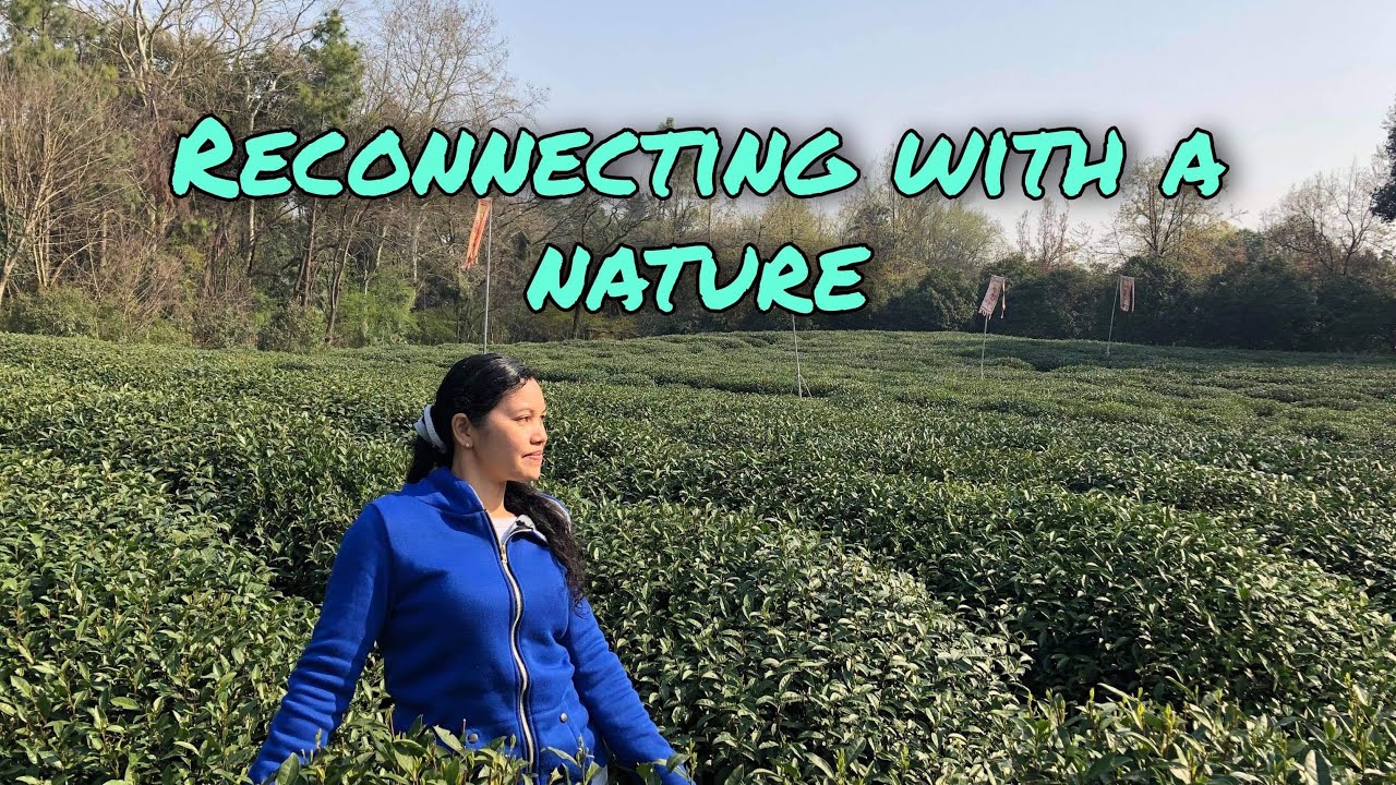 Reconnecting with a nature - YouTube