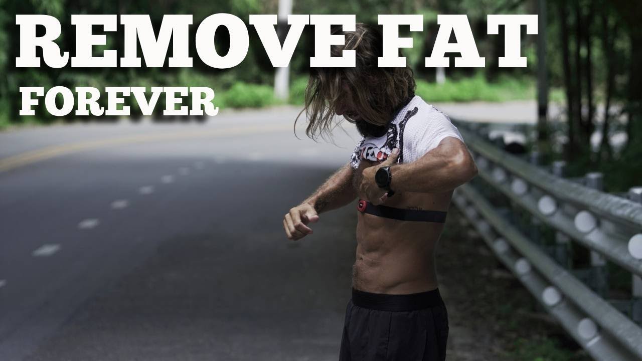 How to Lose Belly Fat: Science-Backed Tips - YouTube