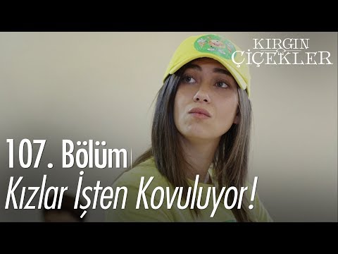 Kızlar işten kovuluyor - Kırgın Çiçekler 107. Bölüm