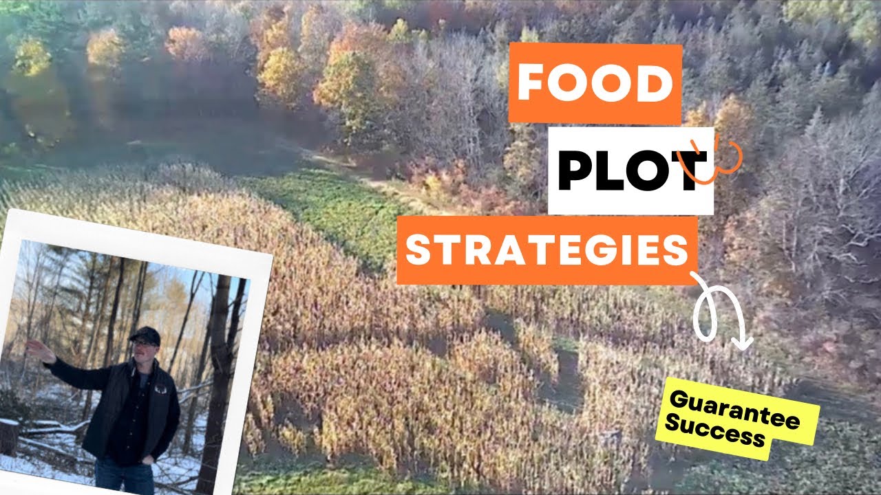 Advanced Food Plot Strategies That Guarantee More Success - YouTube