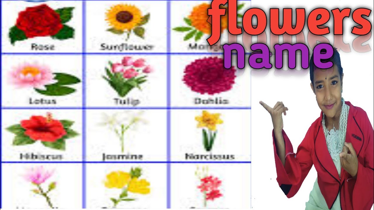 How To Learn Flower Name with picture llFlower🌹 Name Kaisa Learn kare ...