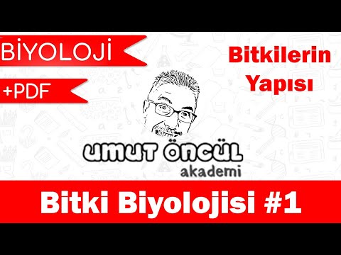 Biyoloji | AYT | Bitki Biyolojisi #1 | +PDF