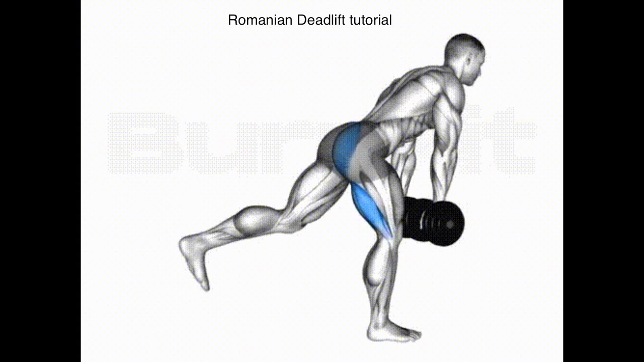 CKY expert teaches you how to do Romanian Deadlifts | A tutorial for beginners - YouTube