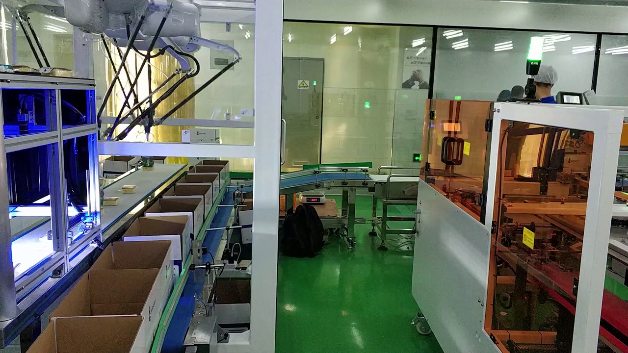Automatic Soft Bag Pick and Place Packing Machine - YouTube