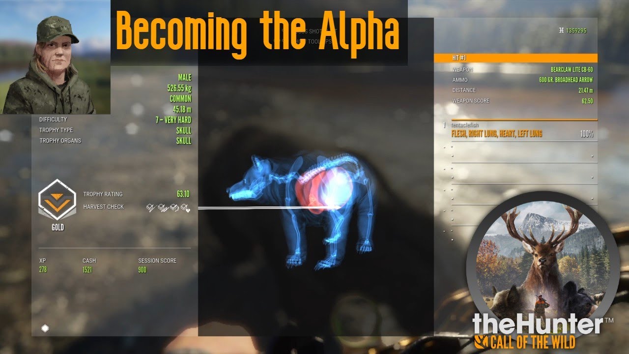 Become alpha code