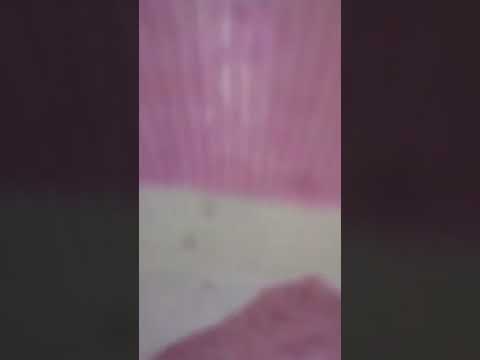 Aritao Nueva Vizcaya Philippines - YouTube