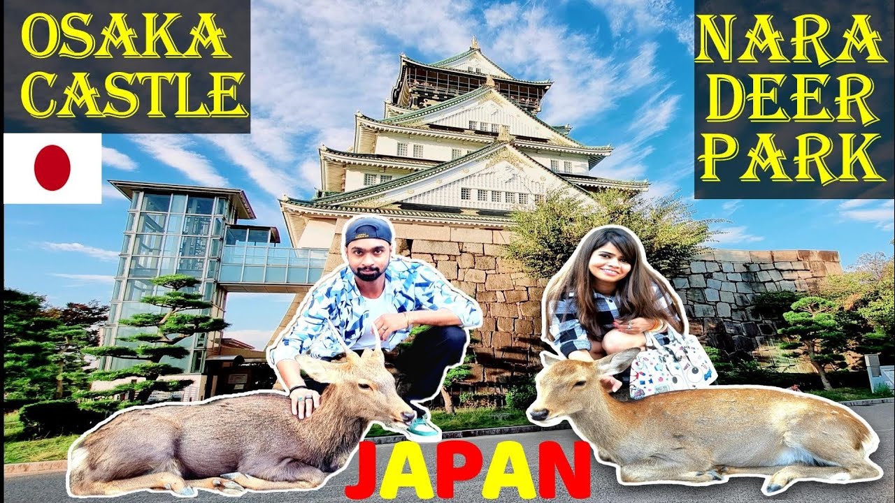 JAPAN'S Must Visit FREE & Most Famous NARA DEER PARK & Exploring OSAKA ...