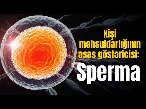 Sperma haqqında hər kəsin bilməli olduğu faktlar