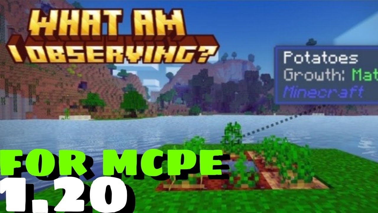 What Am I Observing? addon for mcpe || java addon for mcpe - YouTube