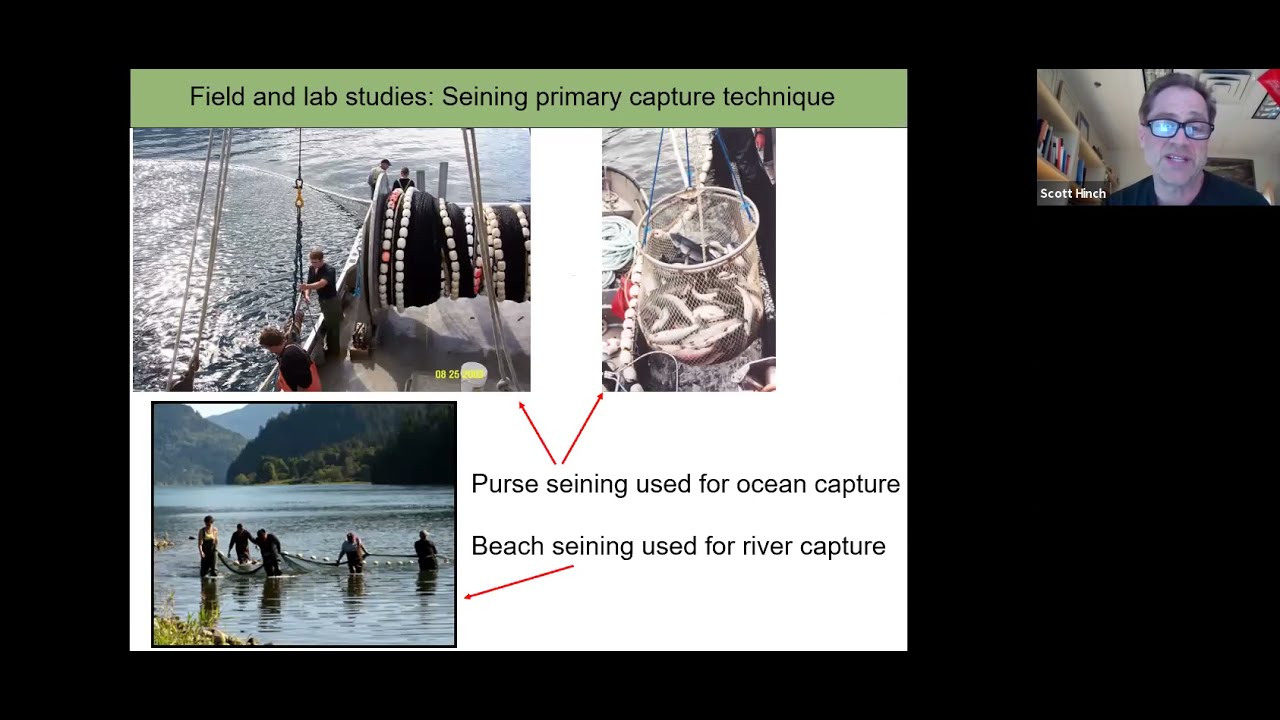 UBC Professor Scott Hinch - YouTube