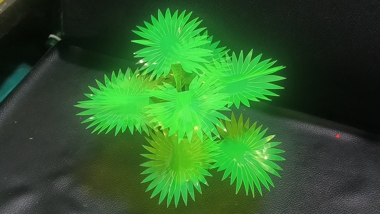 anahaw Philippine plant using pet bottles plastic bottle craft/diy ...