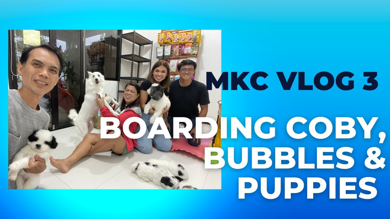 MKC PET BOARDING WITH COBY & BUBBLES + PUPPIES - YouTube