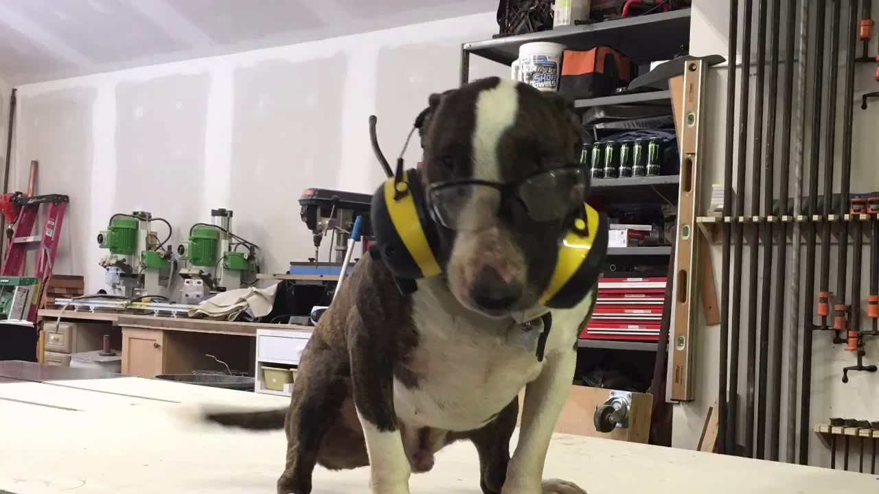 Woodworking Shop Dogs - YouTube