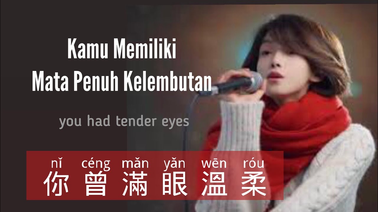 你曾滿眼溫柔 - Ni Ceng Man Yan Wen Rou - Zhang Luoyi 张洛一 - Lagu Mandarin ...