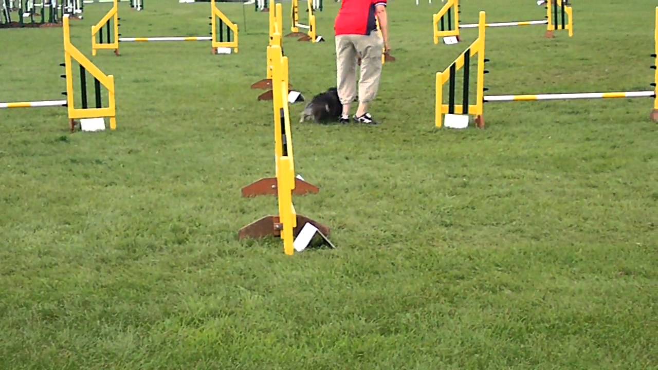 Robbie&Jane@TeeJay/Champ Steeplechase/19-8-12 - YouTube