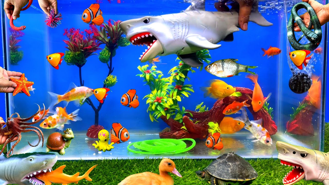 Little Fish Tank, Big Carp Fish, Snake Turtle Toys, Shark toy, Unicorn ...