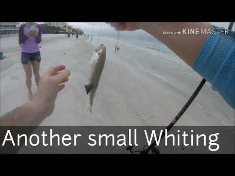 North Redington Beach surf fishing - YouTube