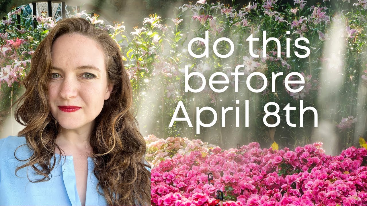 Do this before the April 8th total eclipse - YouTube