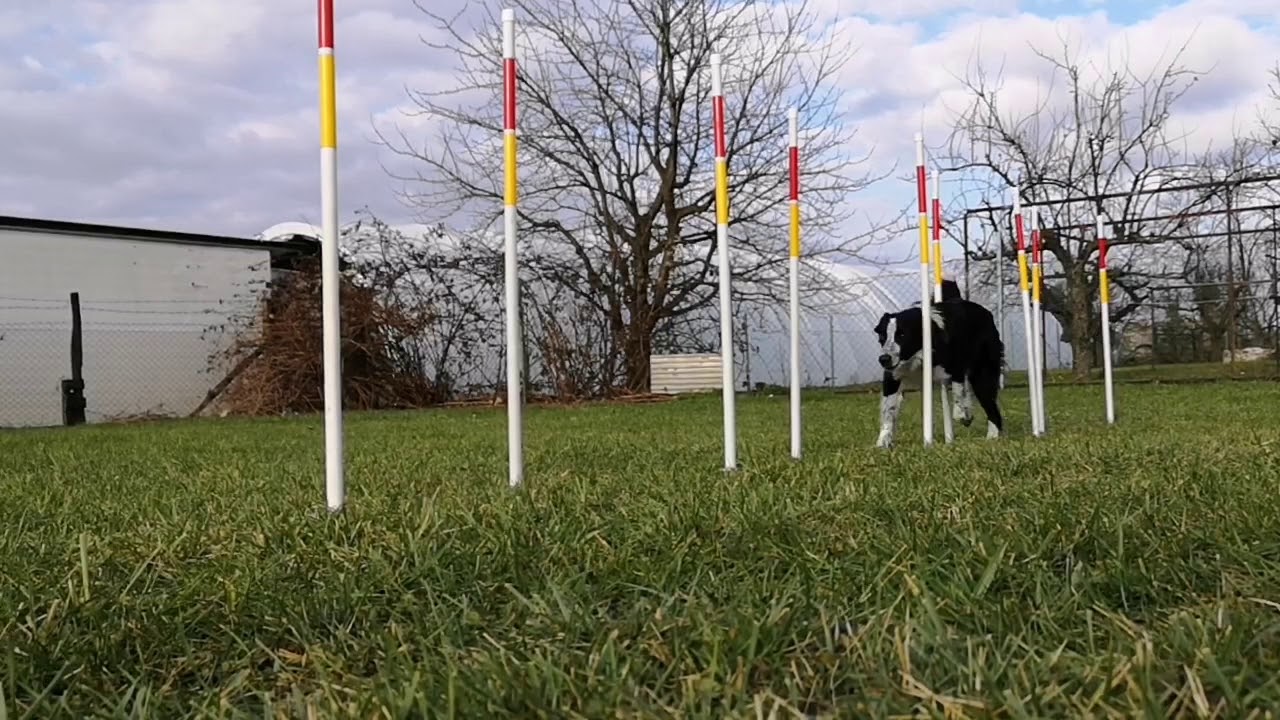 Taki slalom monster (hole6) 2019.12.29. - YouTube