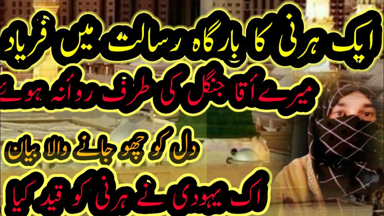 bar Kya hai risalat mein ek hirni ki fariyad hirni wala byan bahut hi shandar Kalam - YouTube