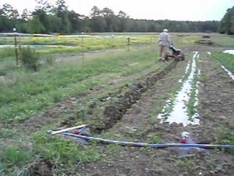 Hilling Potatoes with BCS 853 and Double Disk Implement - YouTube