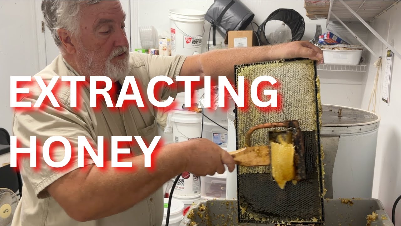 Extracting Honey - YouTube