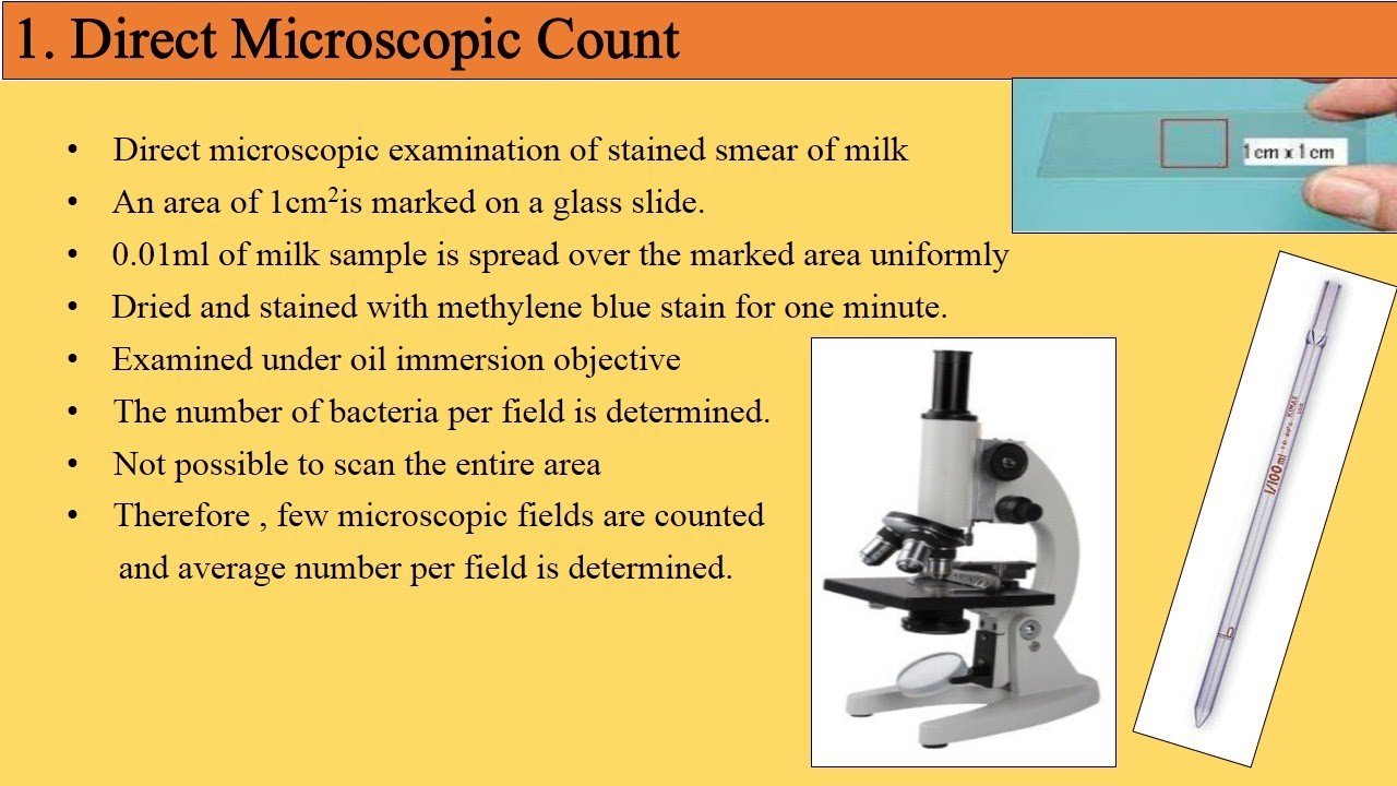Milk Microbiology Part 3 Microbiological Examination of Milk - YouTube