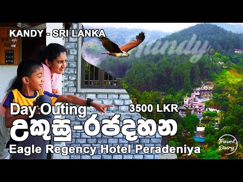 Day in the Eagle Regency Hotel Kandy Sri Lanka | Travel With Shala Vlog 32