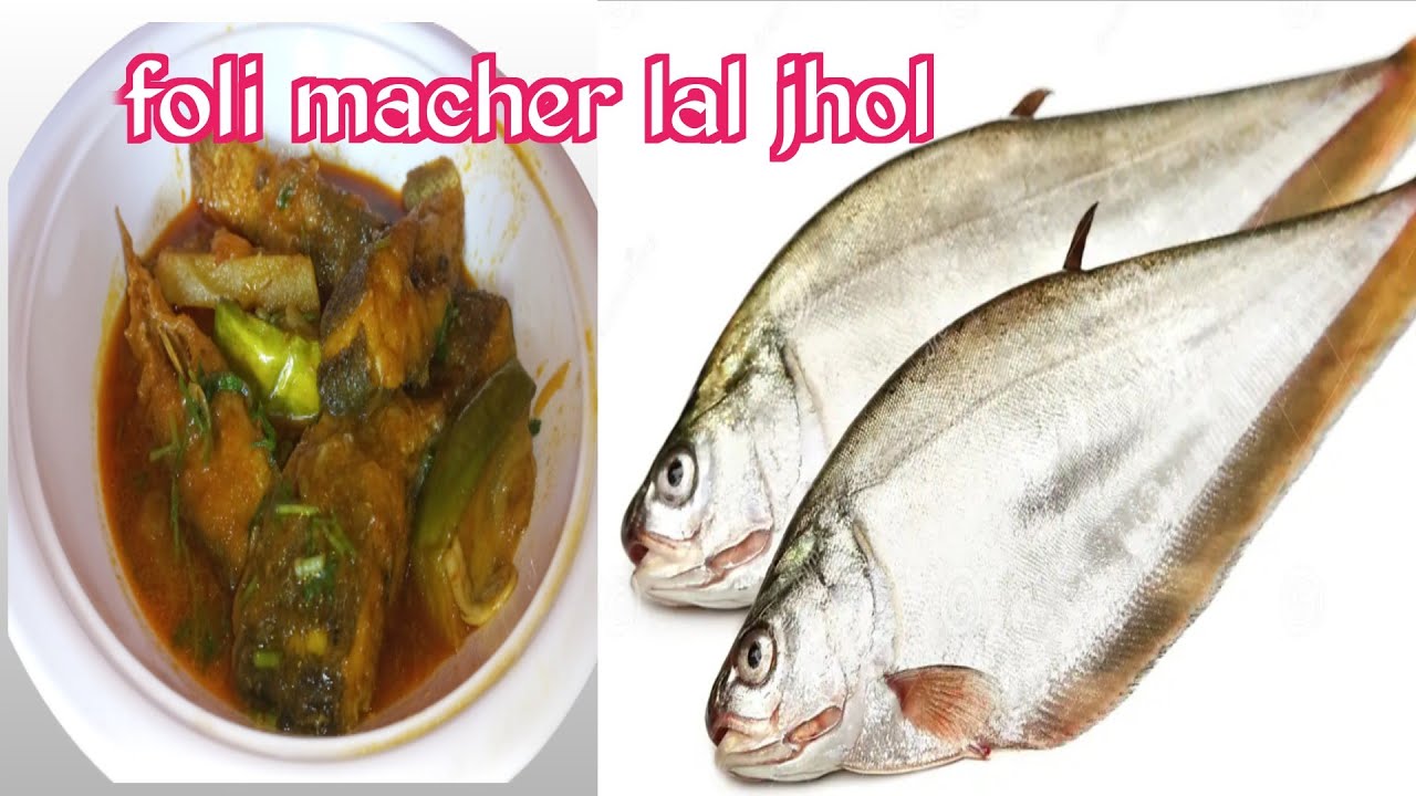 ফলি মাছের লাল ঝোল// Foli fish recipe // Fish curry in Bengali. - YouTube