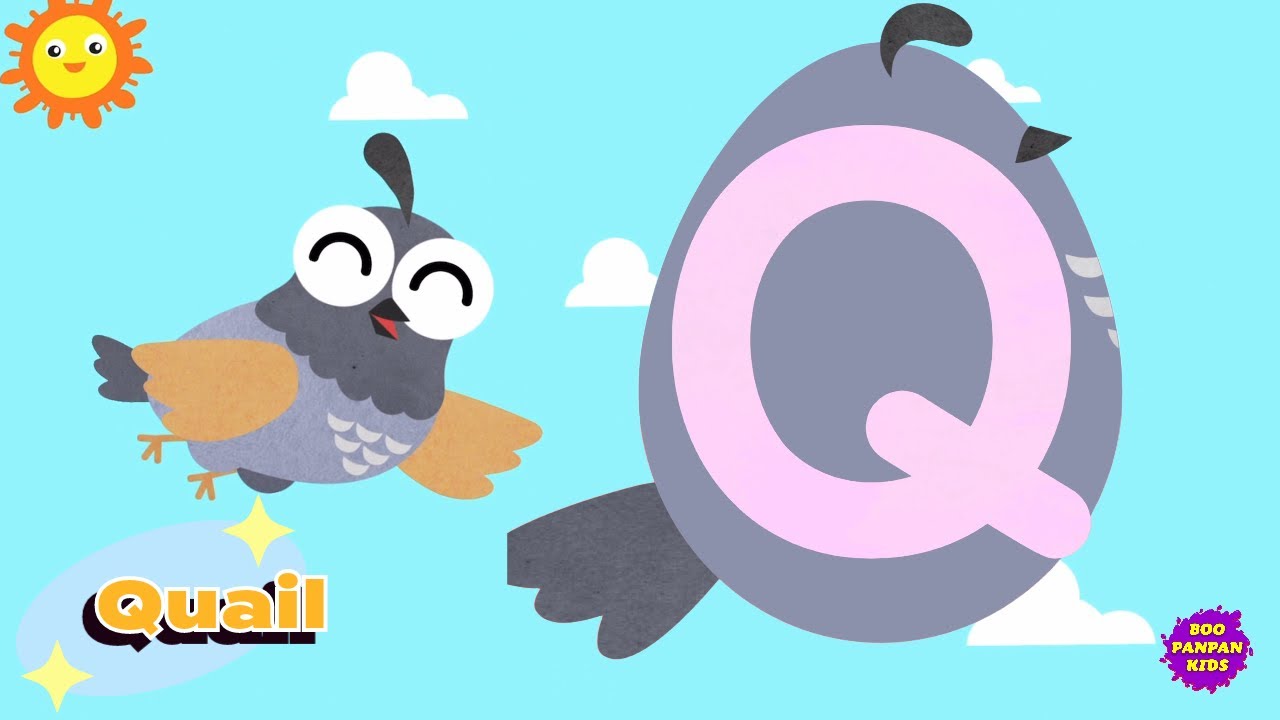 Candybots Alphabet Animals Q R S Tracing|Boopanpankids - YouTube